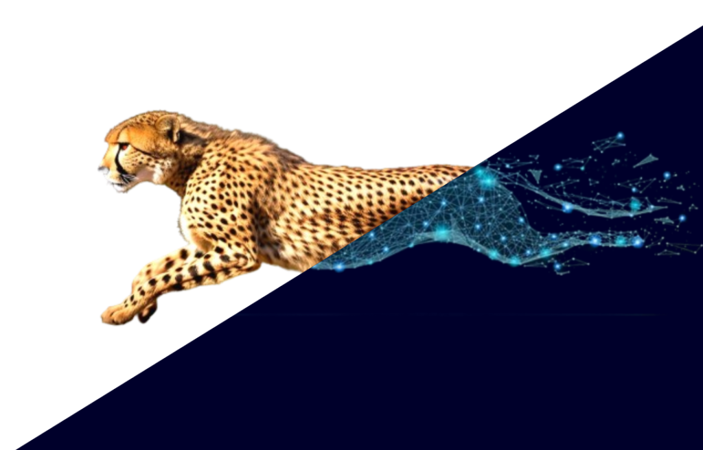 Home - Eximietas Design - Eximietas Design