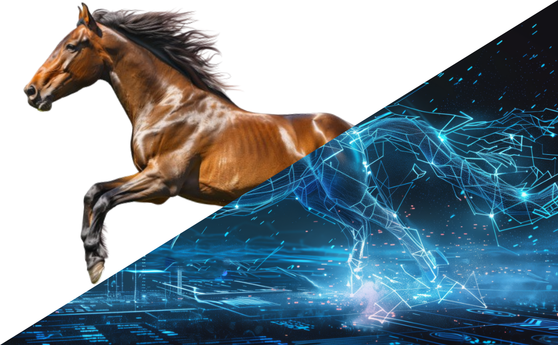 Home - Eximietas Design - Eximietas Design